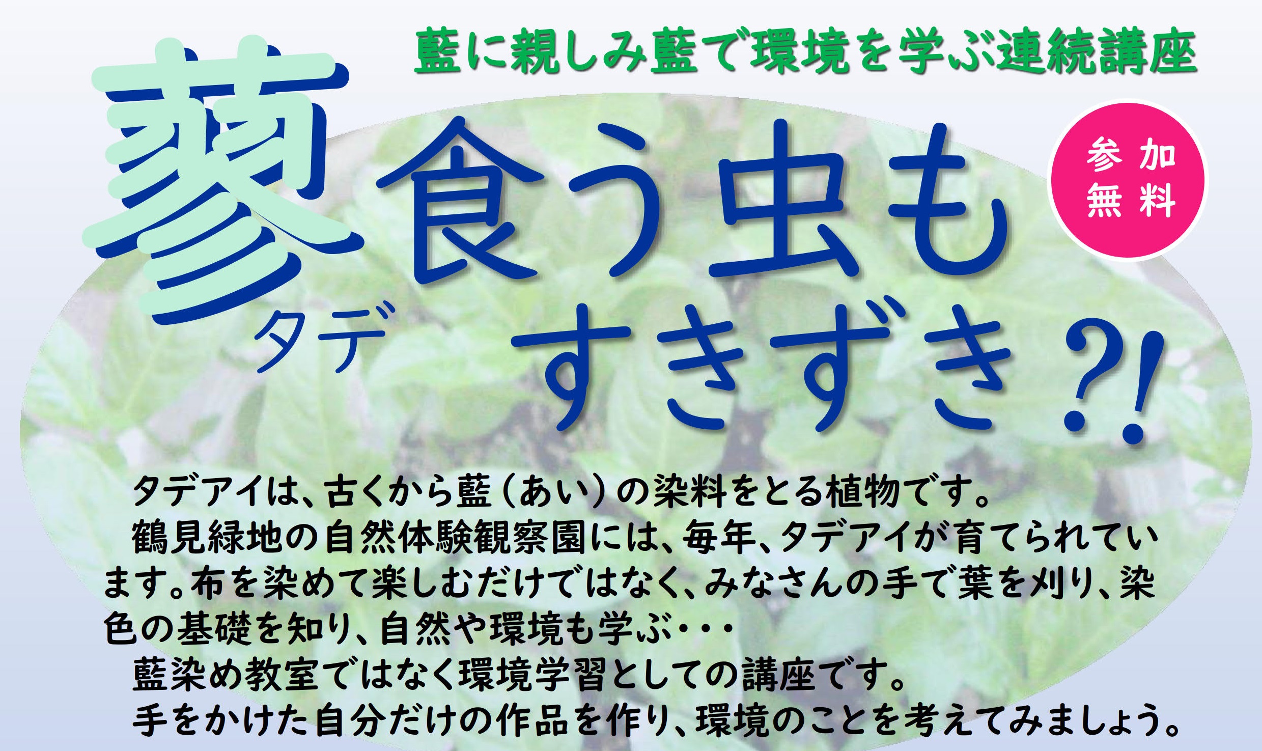 ＜募集 終了しました。＞蓼食う虫もすきずき～藍に親しみ藍で環境を学ぶ連続講座 なにわエコスタイル 